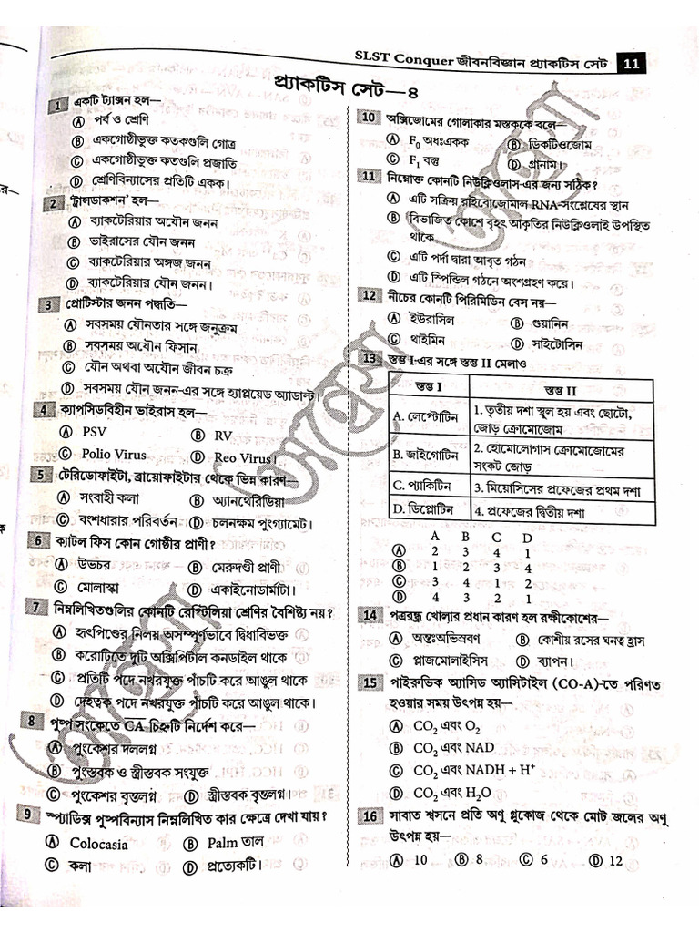 Set 4 Annesha Test | PDF