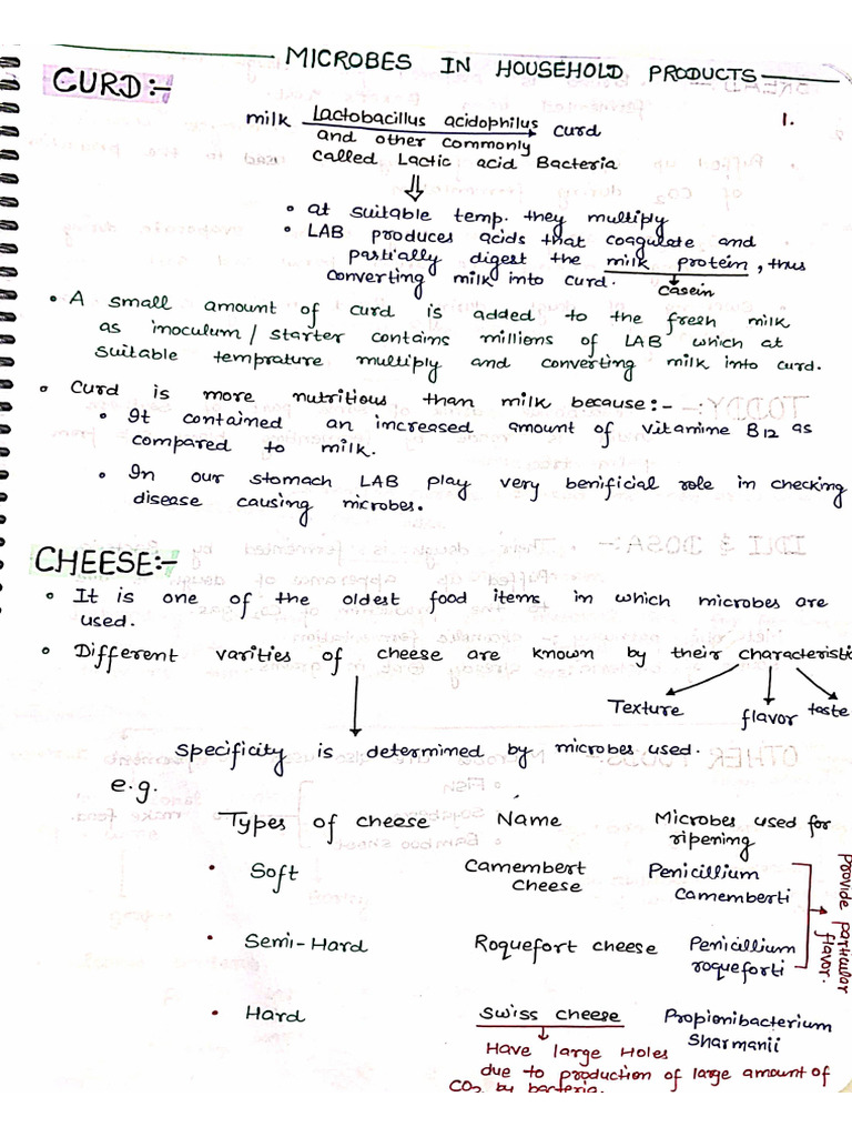 Microbes in Human Welfare Notes | PDF