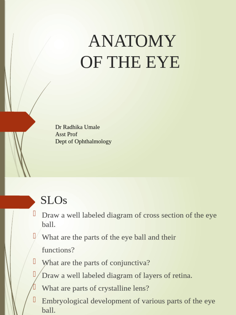 Anatomy and Functions of the Eye | PDF | Retina | Cornea