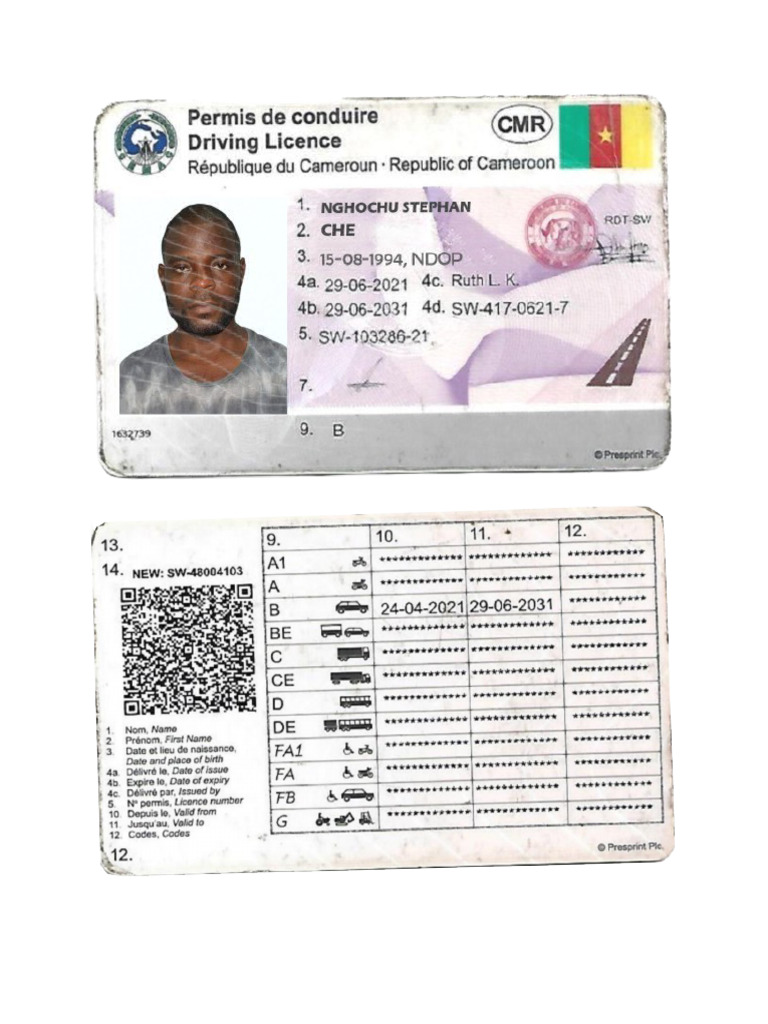 MR, Che Driving Licence | PDF