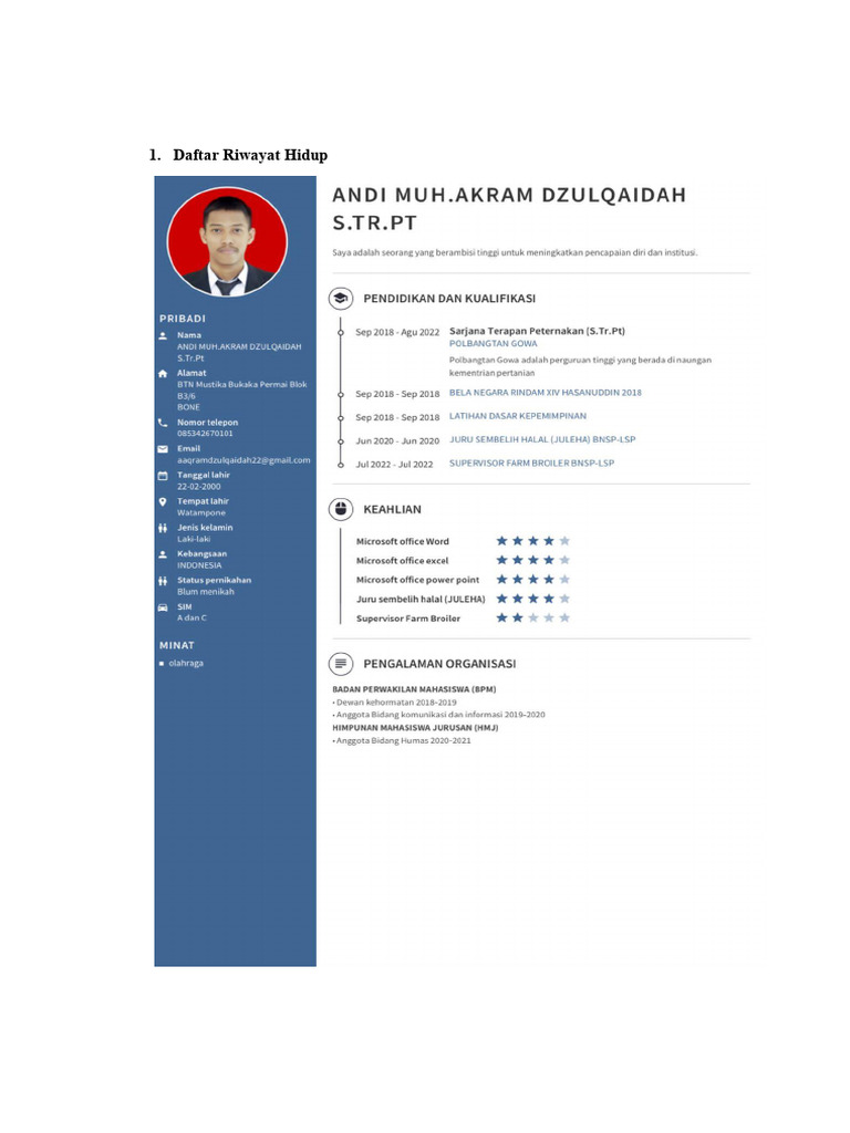 CV Akram | PDF