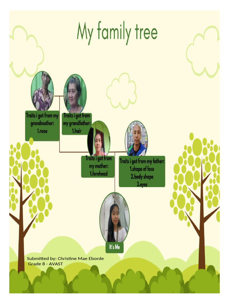Tintin Family Tree Traits | PDF
