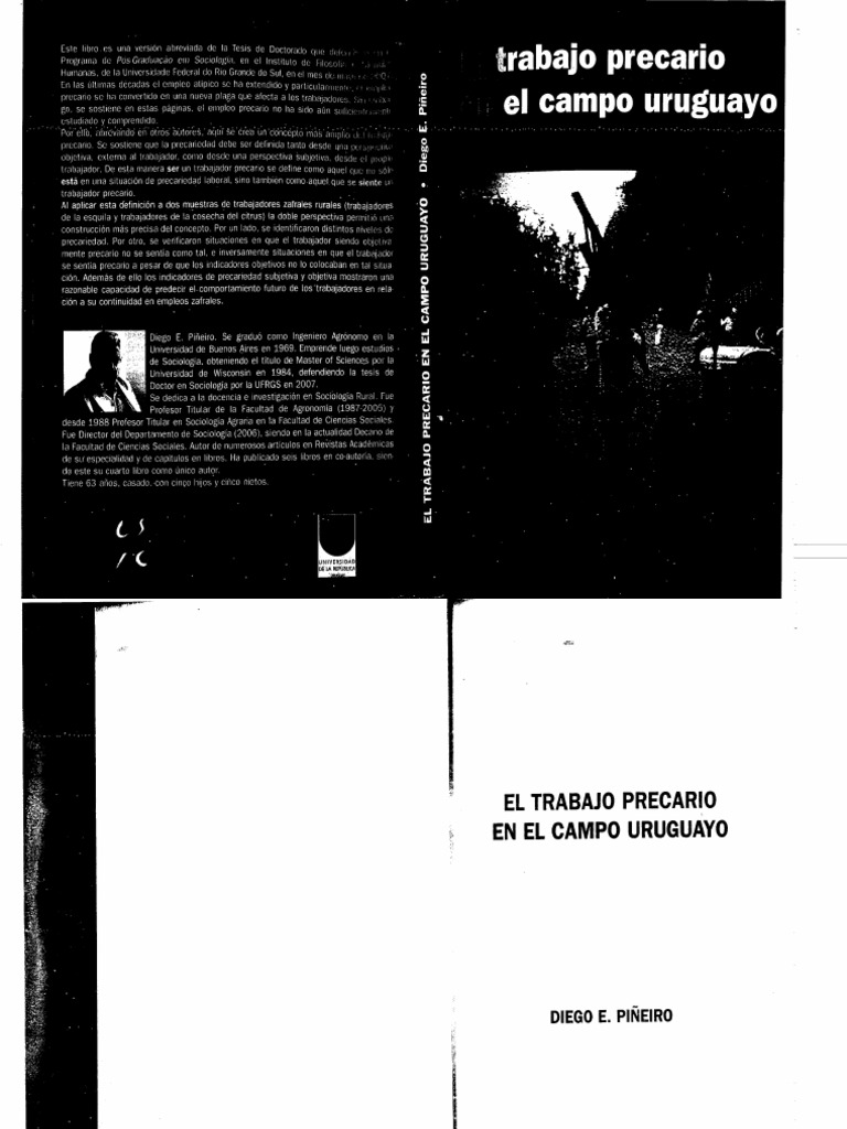Piñeiro - El Trabajo Precario en El Campo Uruguayo | PDF | Desempleo ...