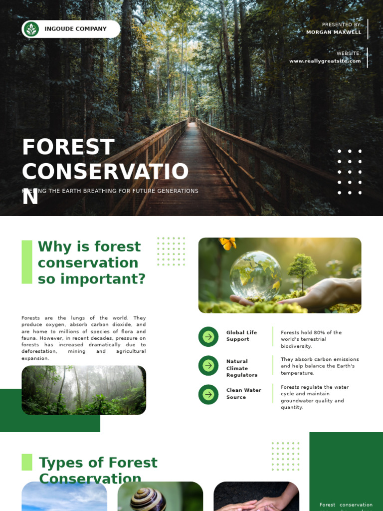 10 Ways to Conserve Forests | PDF | Conservation Biology | Forests