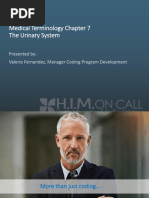 Urology Medical Terminology | PDF | Urinary System | Kidney