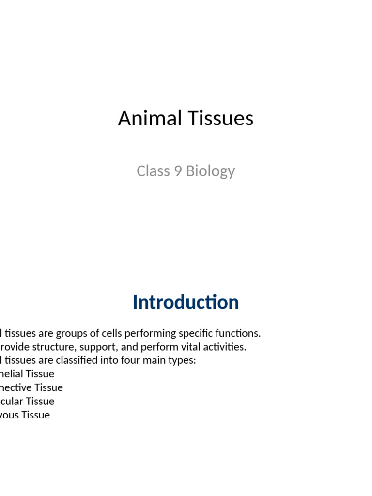 Animal Tissues Class9 Illustrated | PDF