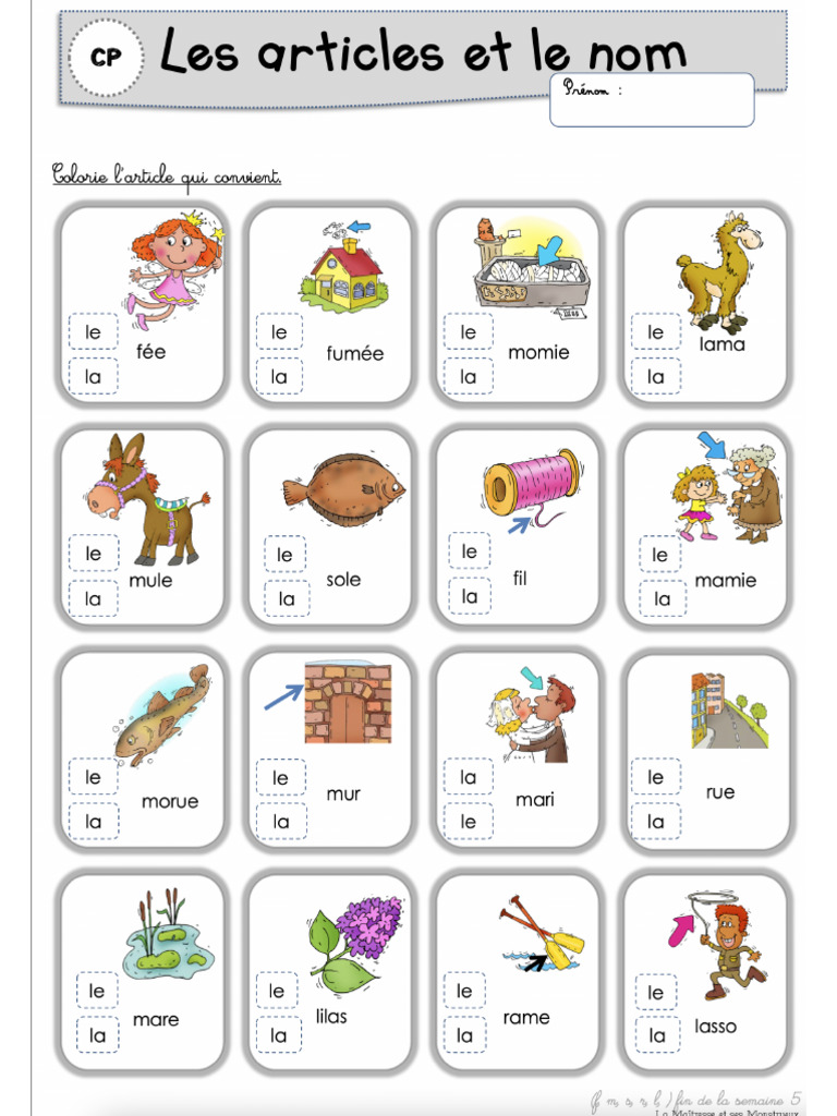Les Articles Et Le Nom 1 | PDF