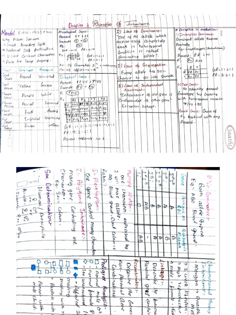 Chapter 4 Biology Class 12 Chapter 4 5 Min Notes | PDF