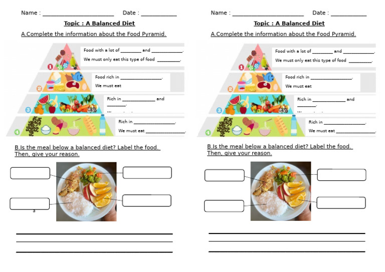 Understanding the Food Pyramid | PDF
