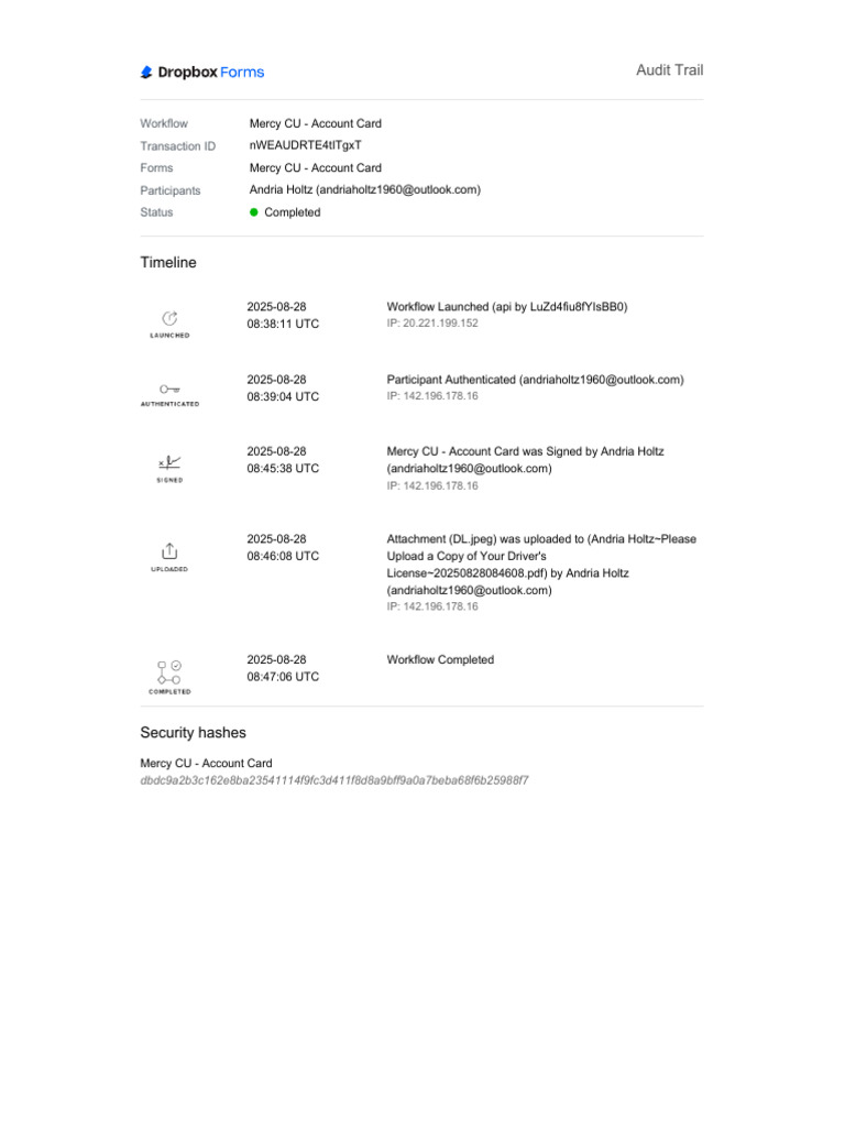Audit Trail | PDF
