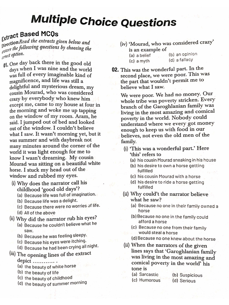 The Summer of The Beautiful White Horse | PDF