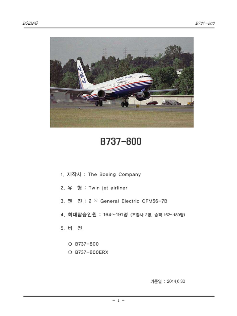 Boeing B737-800 | PDF