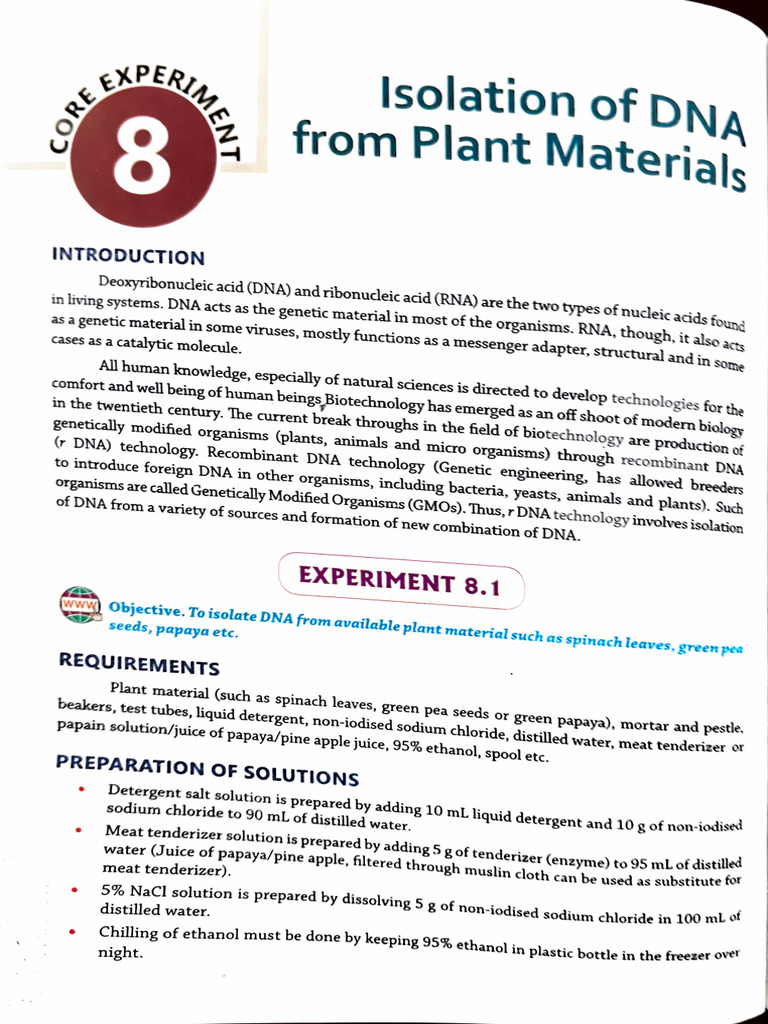 Isolation of DNA From Plant Materials | PDF | Dna | Recombinant Dna