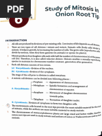 Lab Manual - Mitosis in An Onion Root Cell | PDF