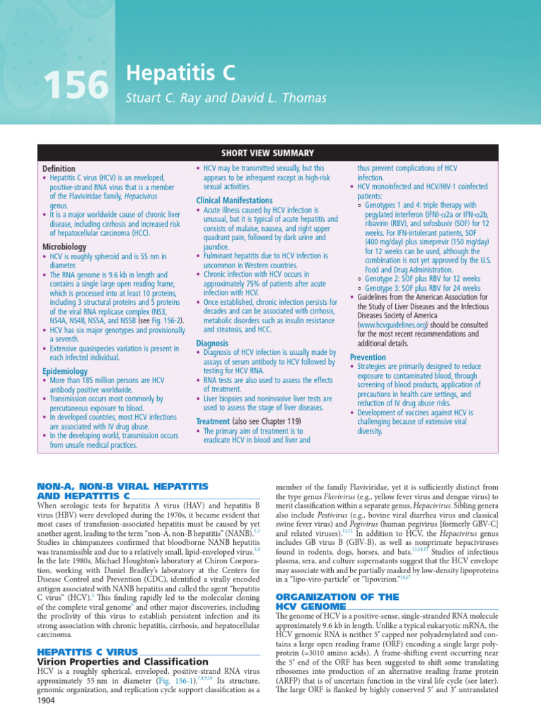 Understanding Hepatitis C Virus (HCV) | PDF | Hepatitis C Virus ...