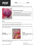 Circulatory System of Frog | PDF | Heart | Atrium (Heart)