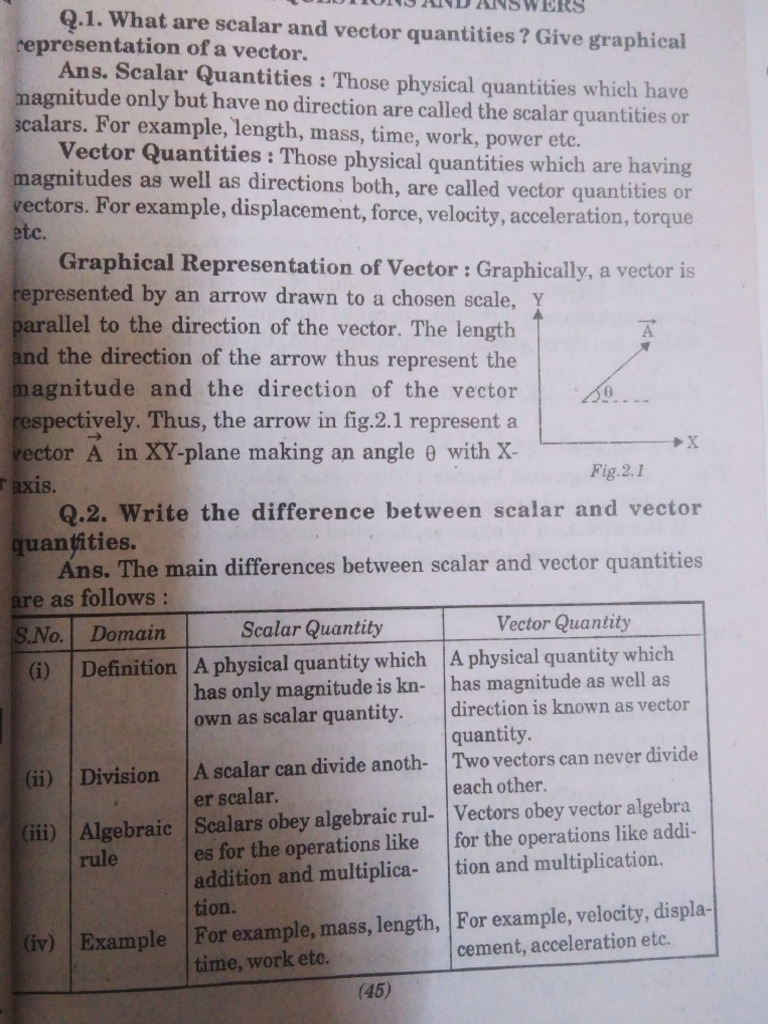 Vector & Scalar Notes English | PDF