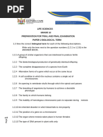 Grade 12 Physics Exam Guidelines 2025 | PDF | Force | Physics