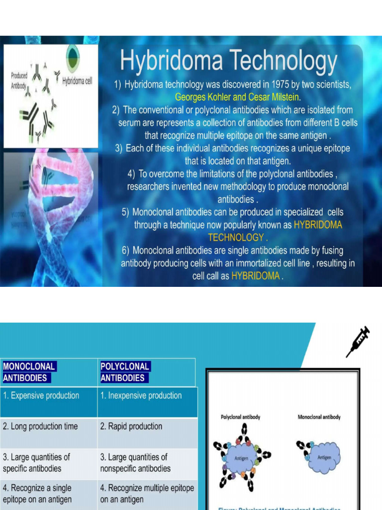 Hybridoma Technology | PDF