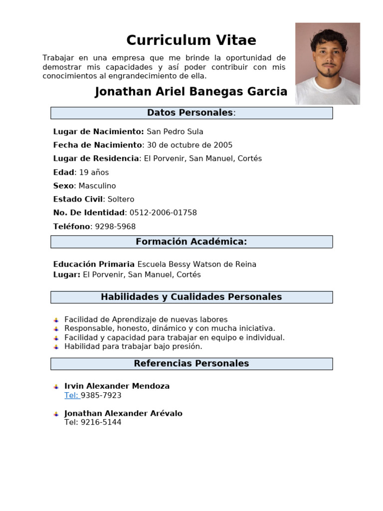 Curriculum Jonathan Ariel Banegas Garcia | PDF