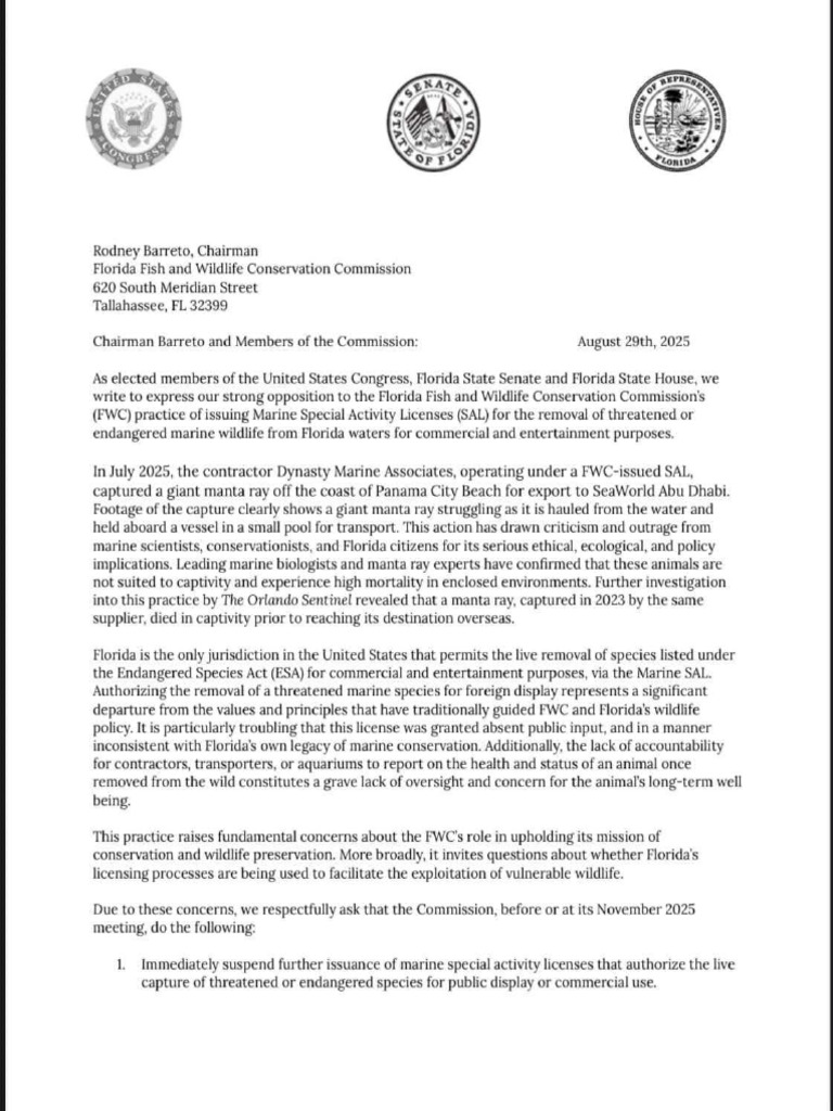 Manta Ray Letter | PDF
