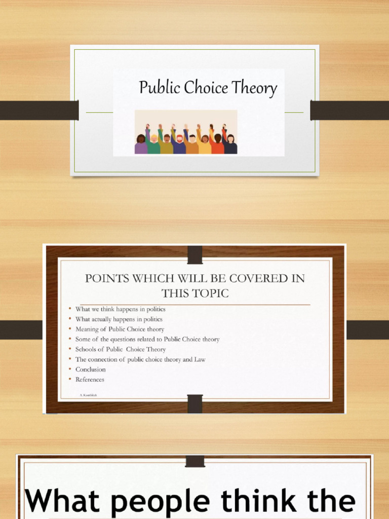 Public Choice Theory 1 | PDF