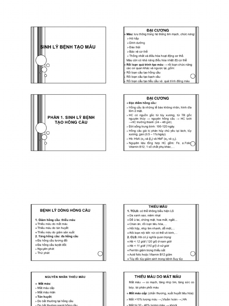 2. SLB Cau tao mau | PDF