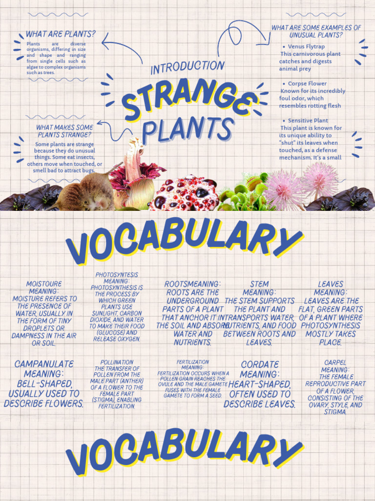 Strange and Unique Plants Explained | PDF | Plants | Flowers