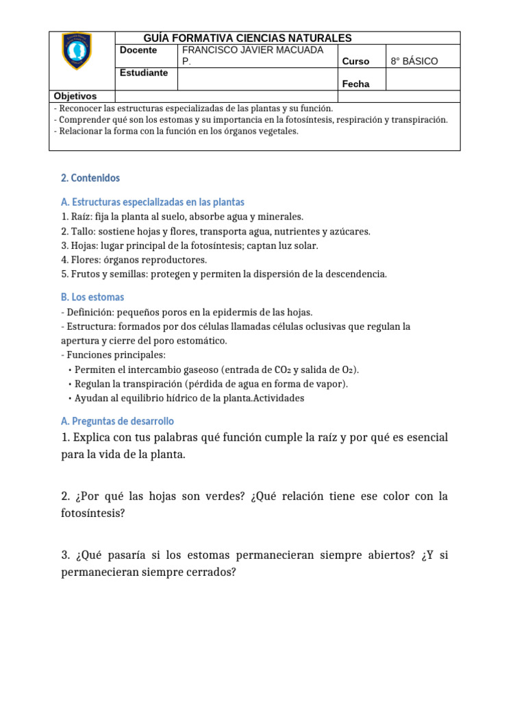 Guia Estructuras Plantas Estomas | PDF | Estoma | Hoja