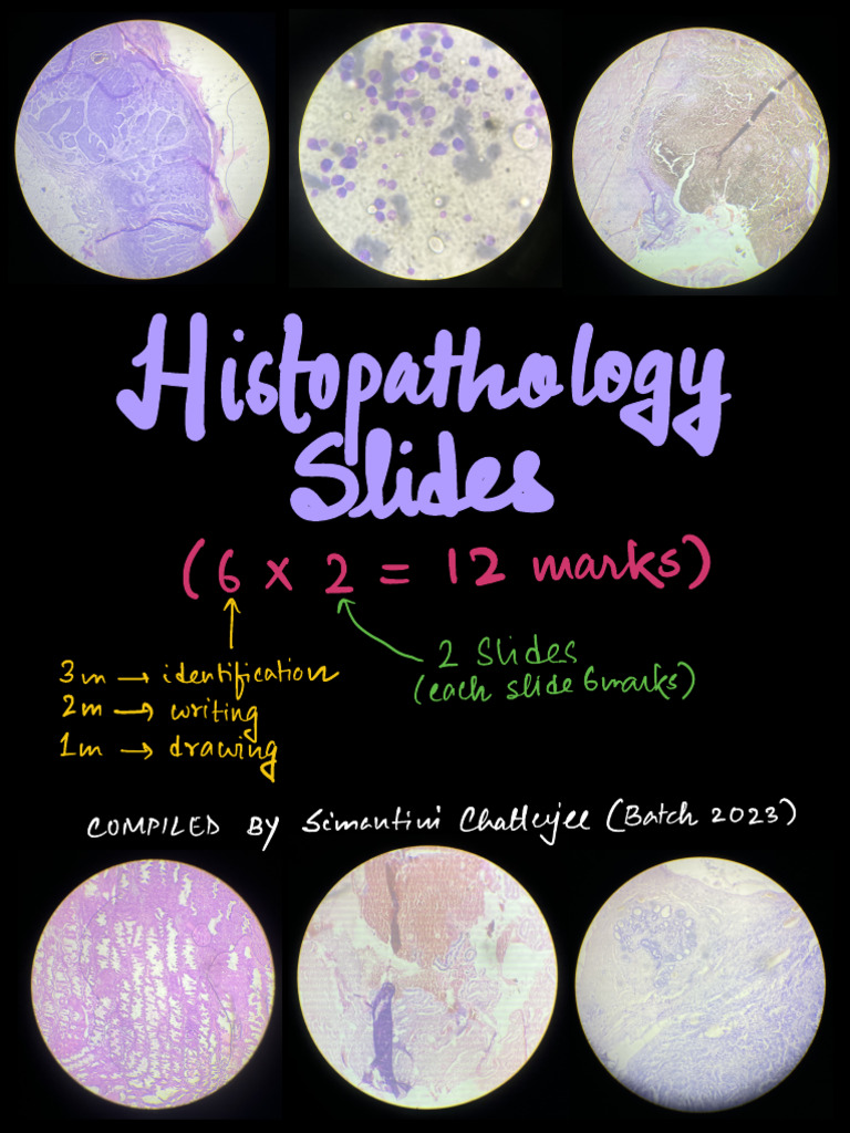 Histopatho Slides | PDF
