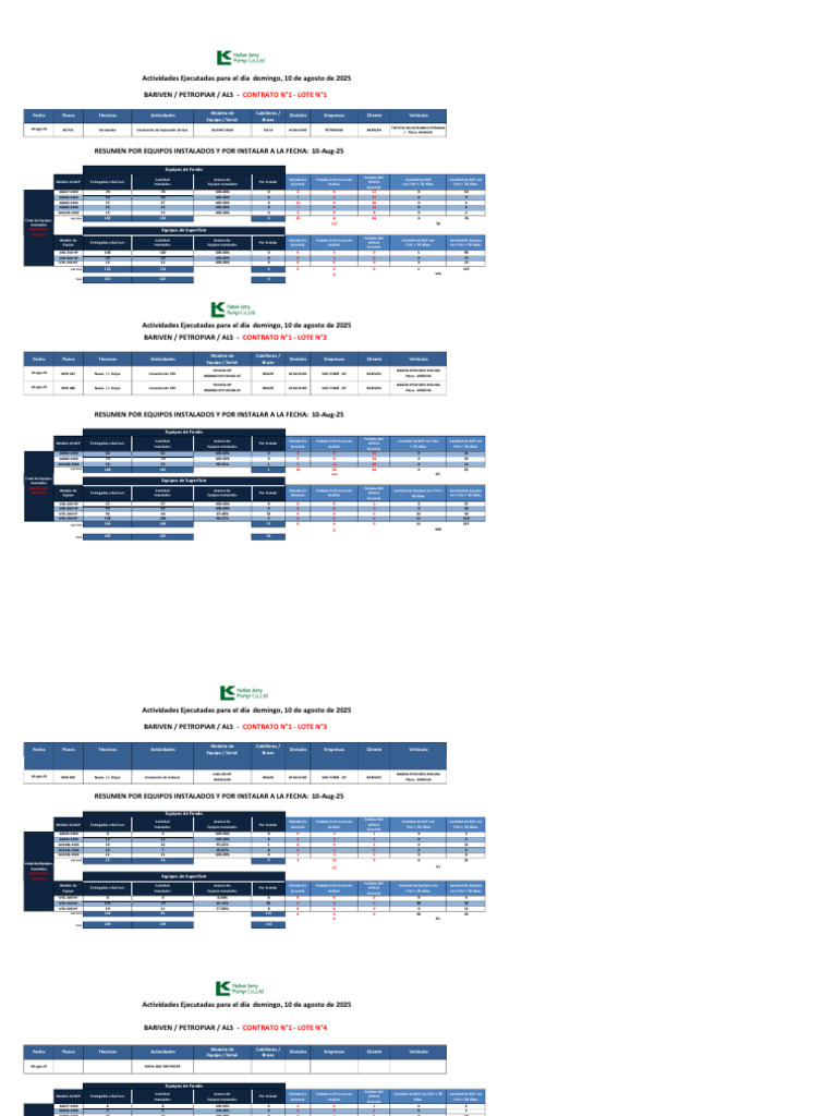 Actividades Ejecutadas Interno Pdf