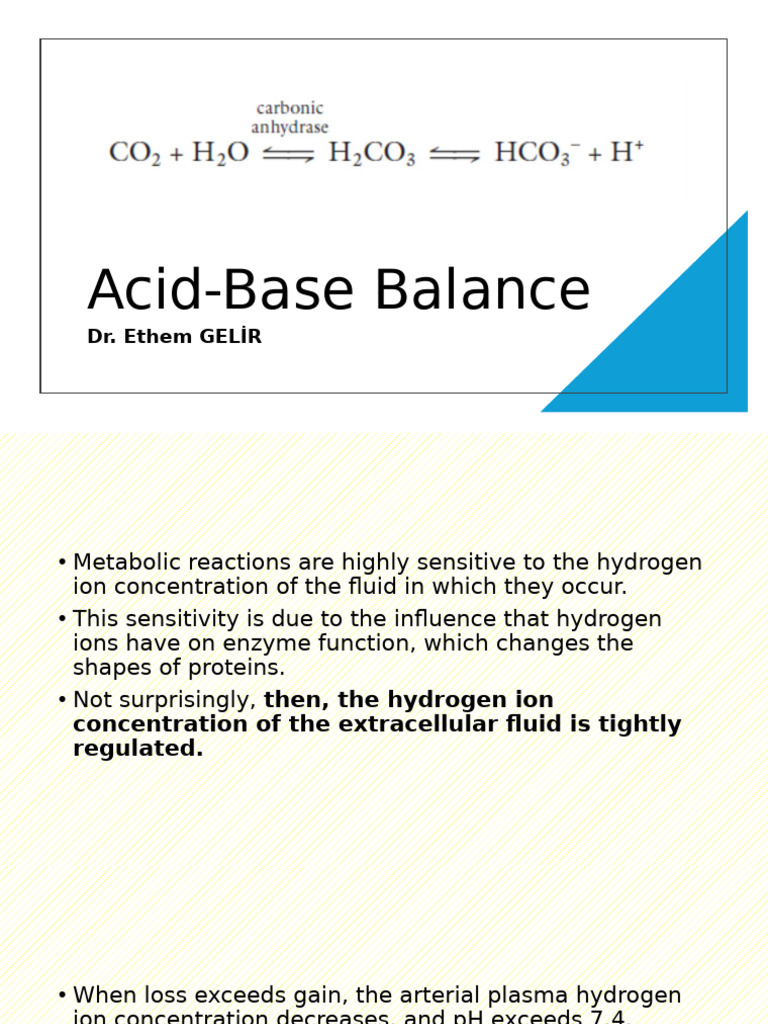 Understanding Acid-Base Balance | PDF | Buffer Solution | Kidney