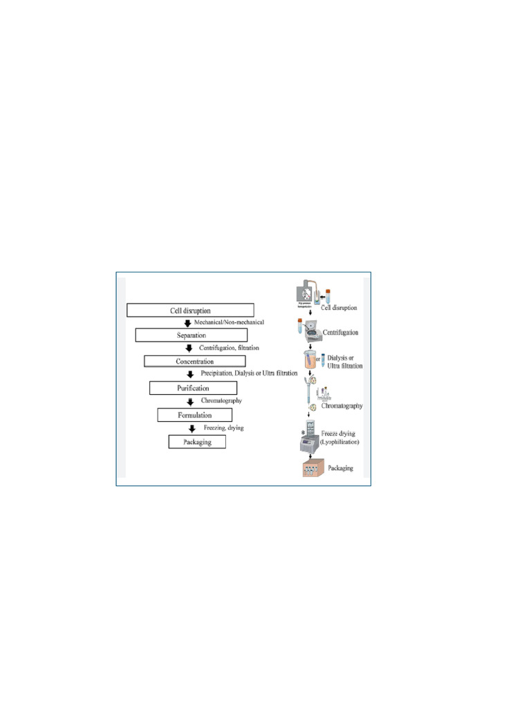Enzyme Isolation and Purification Methods | PDF | Protein Purification ...