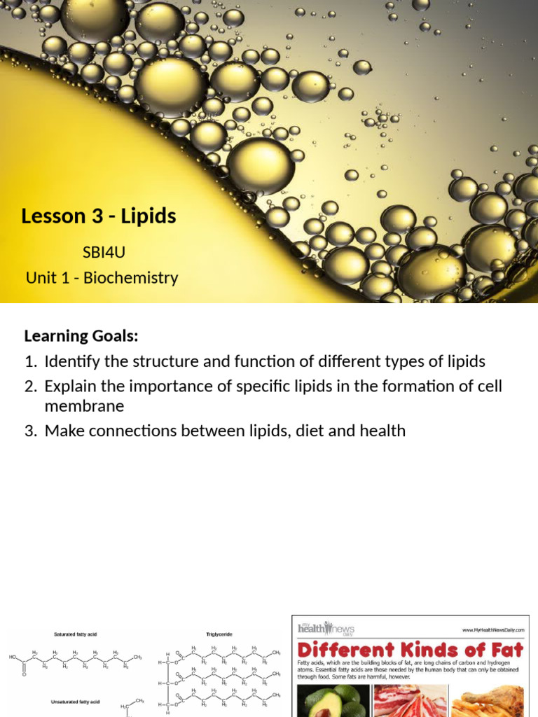 L3 - Macromolecules - Lipids | PDF | Lipid | Fat