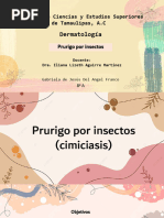CAPÍTULO 17 - Prurigo Por Insectos (Cimiciasis) | PDF | Insecticida ...