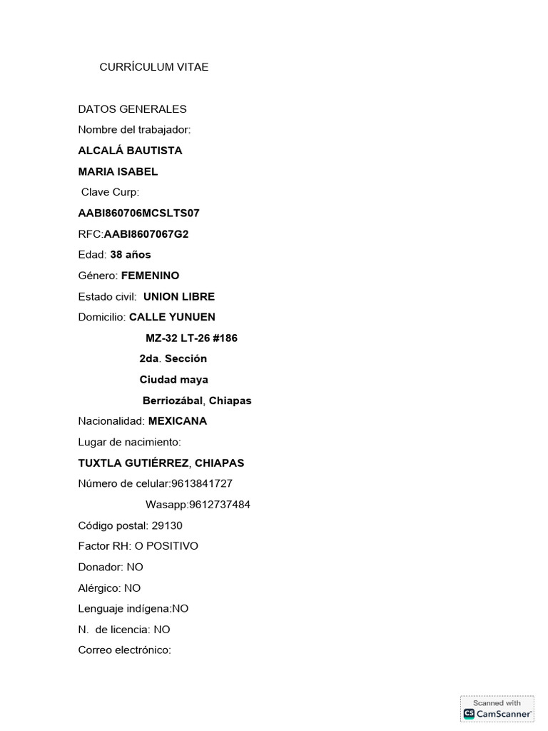 Currículum Vitae De María Isabel Alcalá Pdf