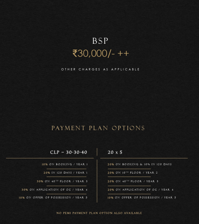 Payment Plan Options for ₹30,000 | PDF