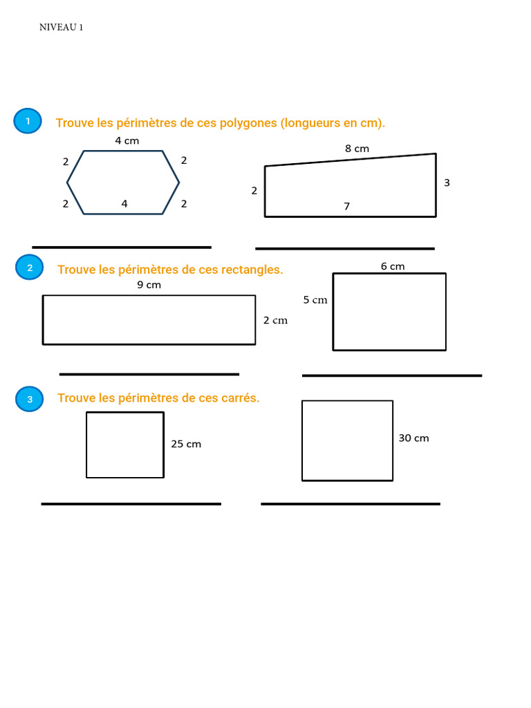 Périmètres de Polygones et Rectangles | PDF