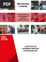 Examenes Medicos Ocupacionales Emo | PDF