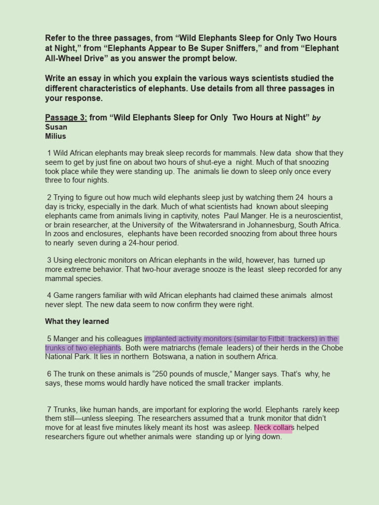 Hannah Patton - 6th Grade Text 3 New EOY | PDF | Elephant | Sleep