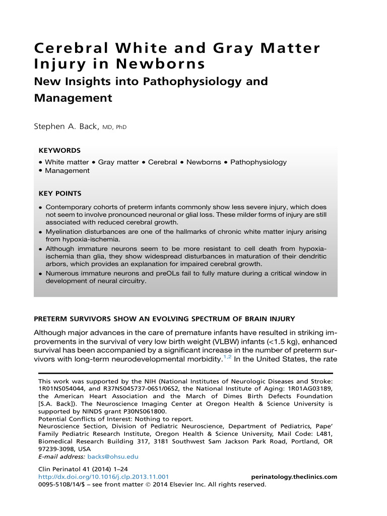Cerebral White and Gray Matter Injury in Newborns New Insights Into ...