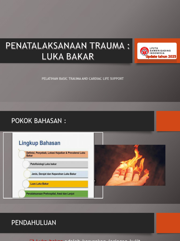 Trauma Luka Bakar - 2025 | PDF