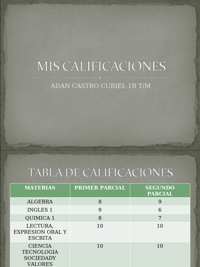 Mis Calificaciones | PDF