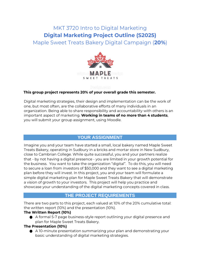 MKT3720 - Digital Marketing Project Outline S2025 | PDF | Digital ...