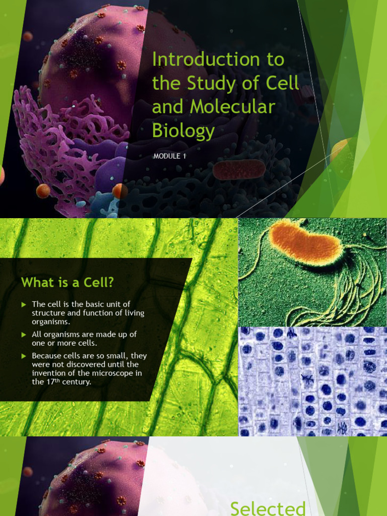 Introduction to Cell and Molecular Biology | PDF | Cell (Biology ...