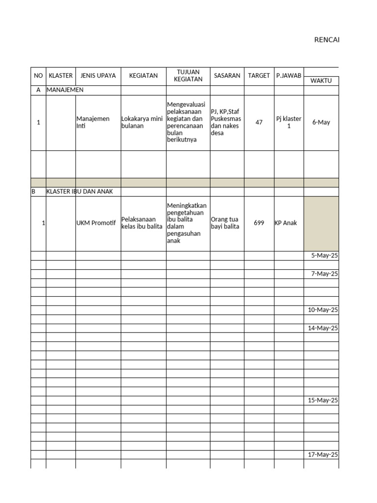 Rpk Bulanan Neww Pkm 25 | PDF