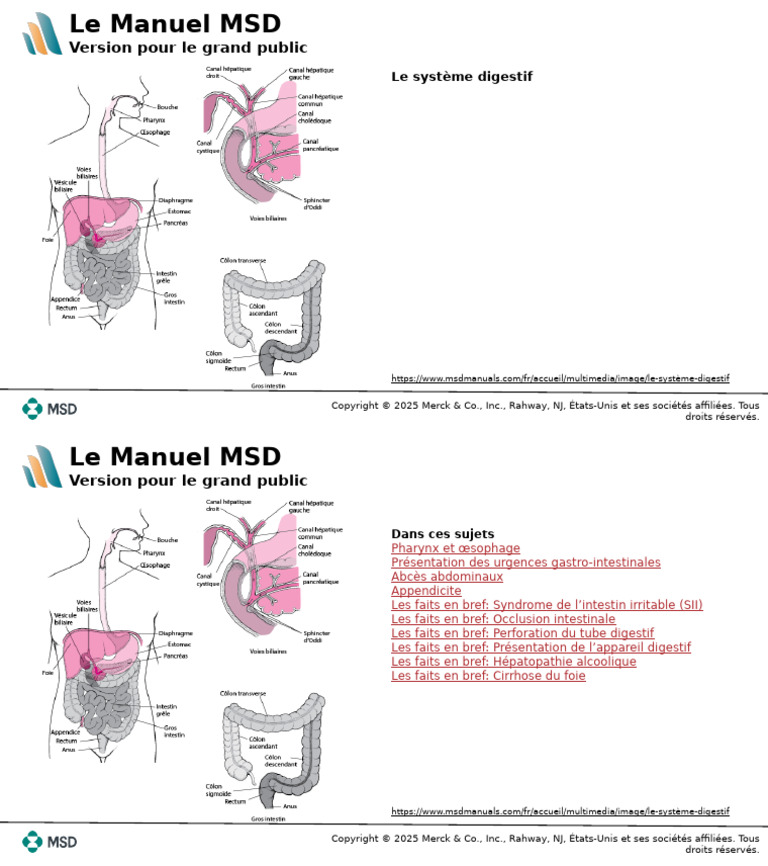 Manuel MSD : Système digestif expliqué | PDF
