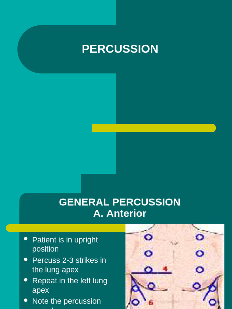 Diaphragmatic Excursion Percussion Guide | PDF