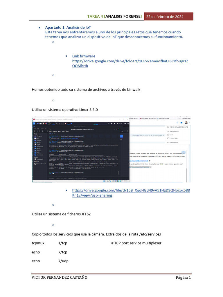 Fernandez Castano Victor AFI04 Tarea | PDF | Port (Computer Networking) | Internet Protocol Suite