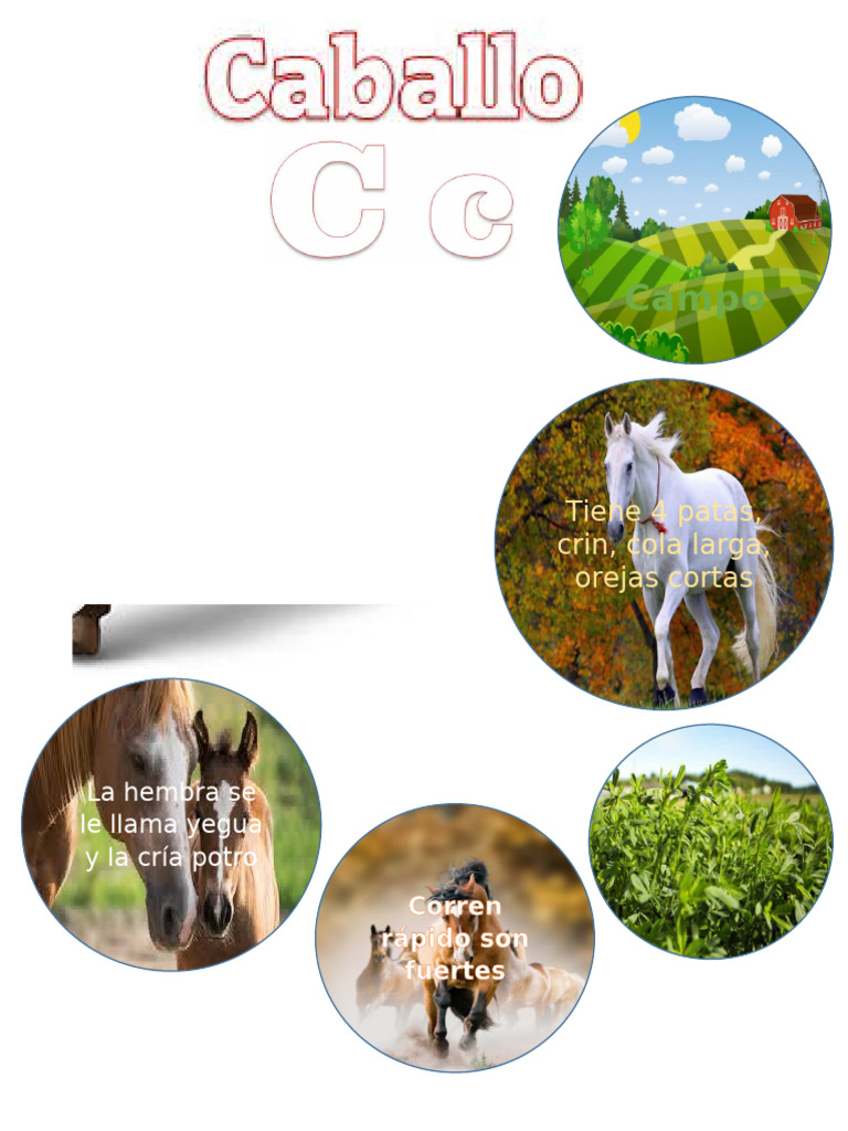 Hembra y cría del caballo: yegua y potro | PDF